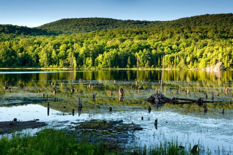 Municipalité du Canton d'Orford - Horaire d'ouverture - 2530, ch du ...